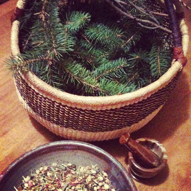 Plant Journeys: Black Forest Chai Recipe, Cave Poetry, and Important ...