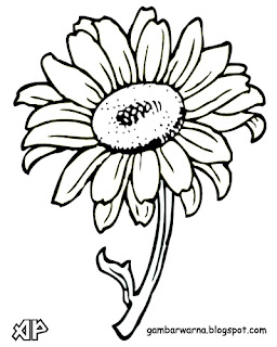 Mewarnai Gambar Bunga Matahari