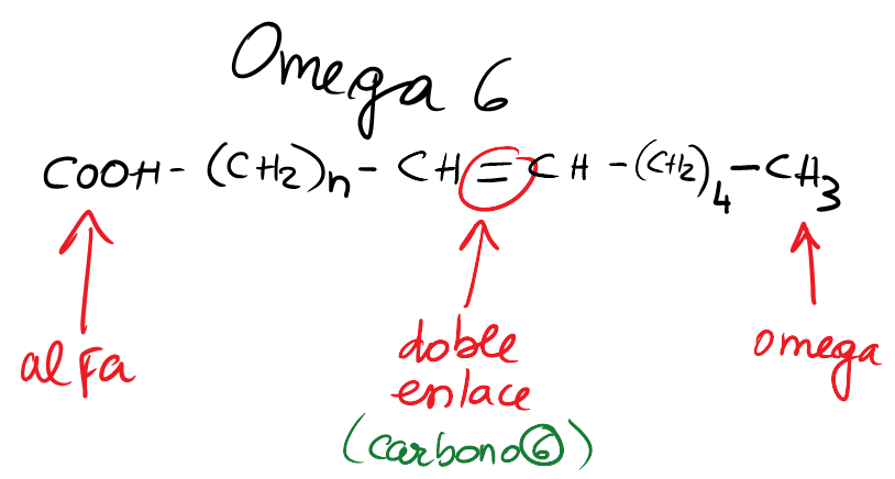 MaxVitae: Yo Me Llamo Omega
