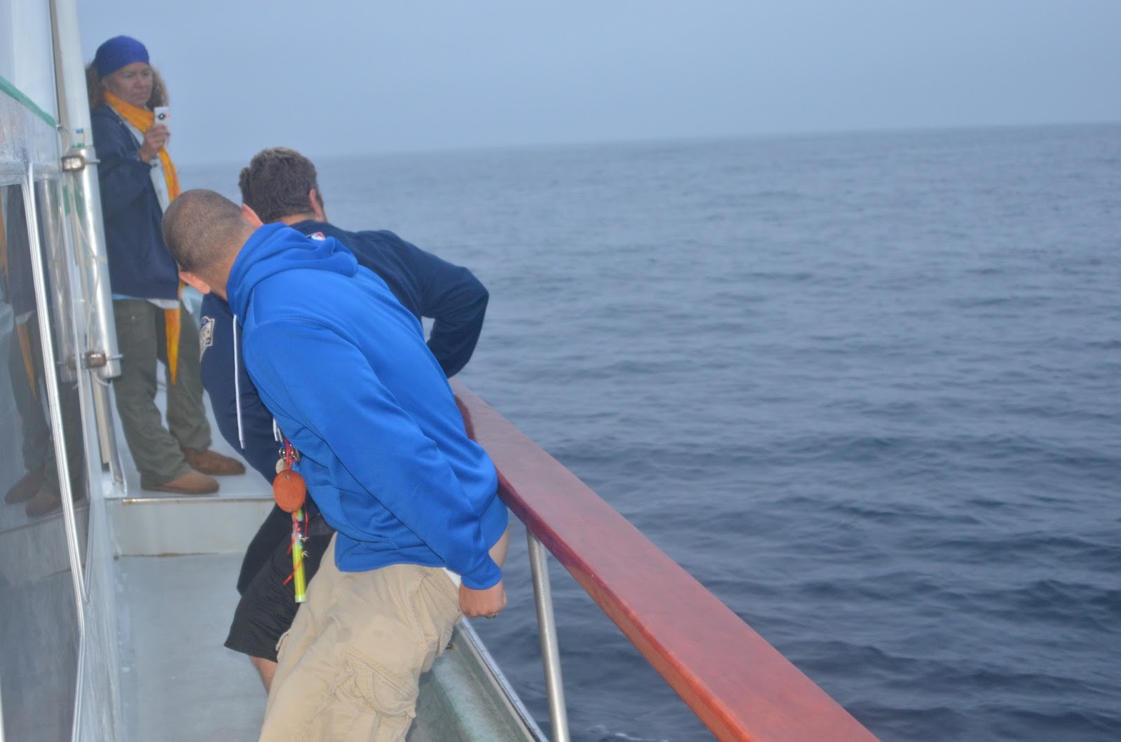 Gords Swim Log: My Catalina Channel Crossing - 11:50