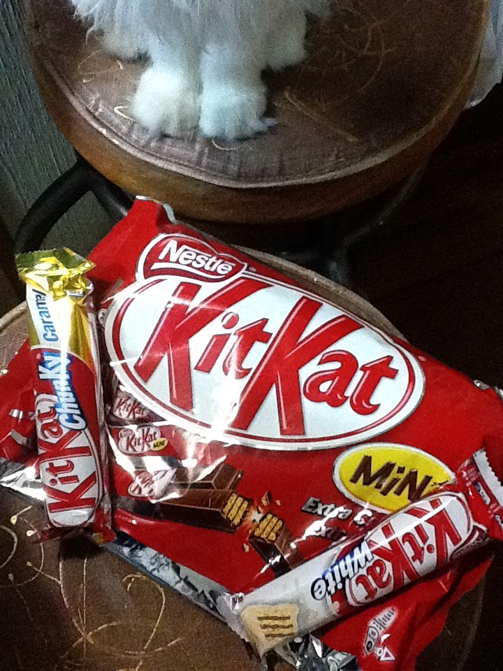Raqpac!: Kit Kat & Cat