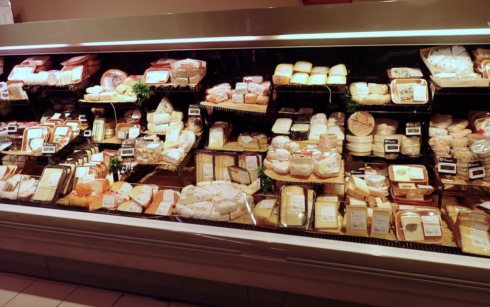 Things we did today...: April 2017