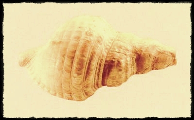 CLASIFICACIÓN DE LOS INSTRUMENTOS MUSICALES2 ~ Teoría musical y Cultura ...