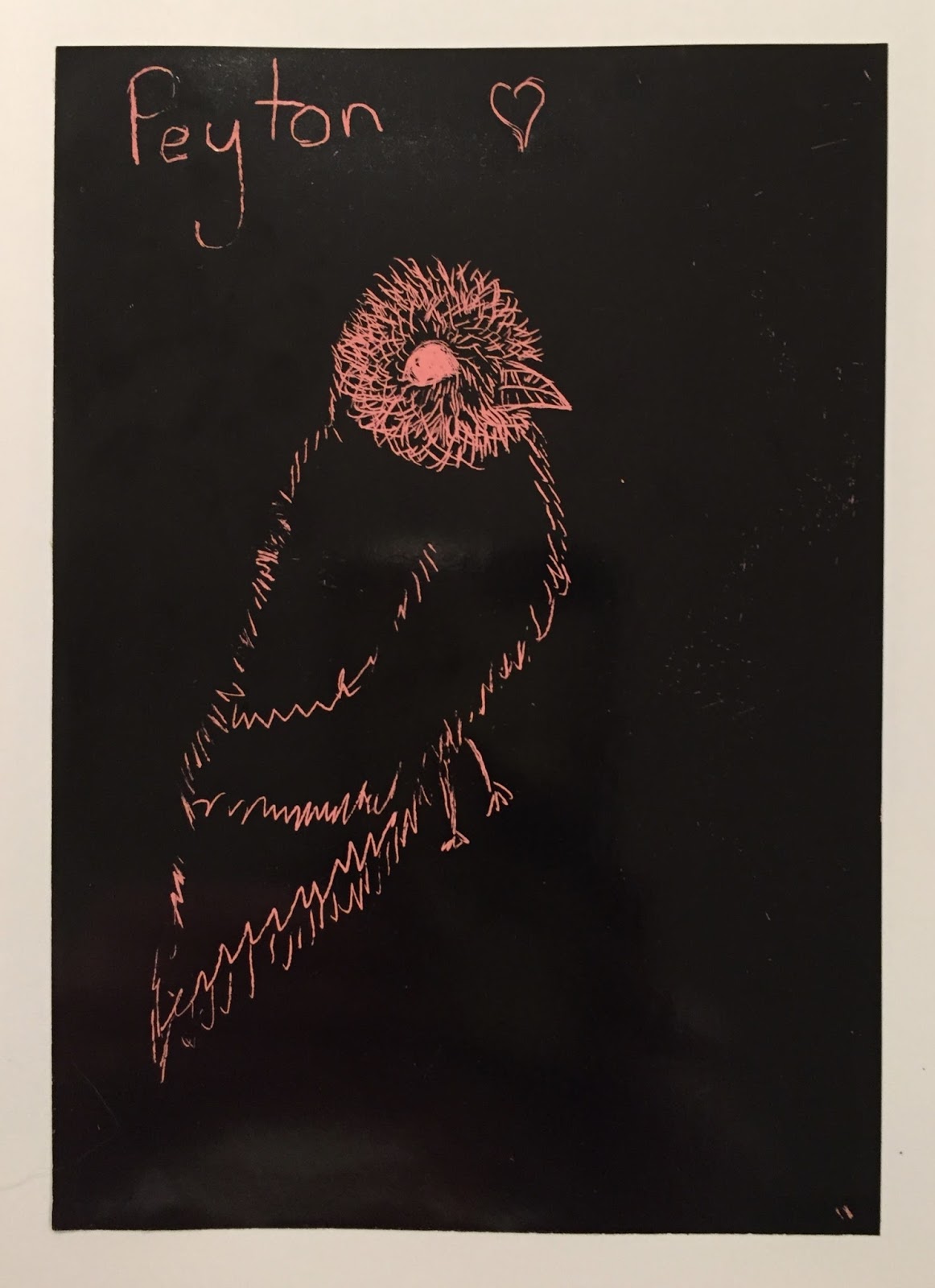 Doodlebug Dabblings: Scratch Art birds