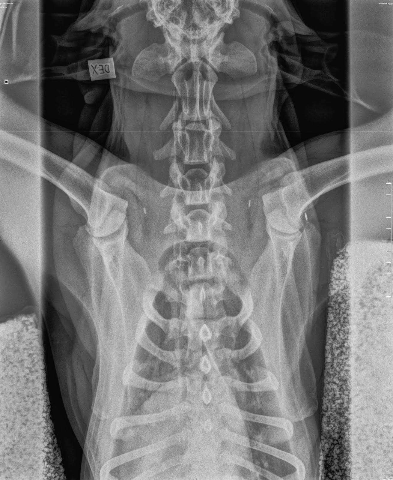 Sannin Blogi: lokakuuta 2013