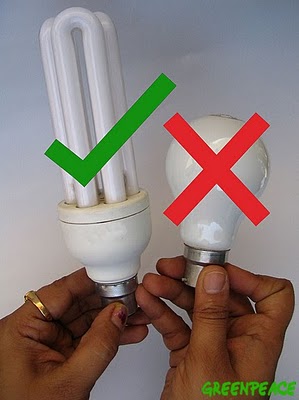 Neem Herbal de Chiapas: El cambio a focos ecológicos reducirá el ...