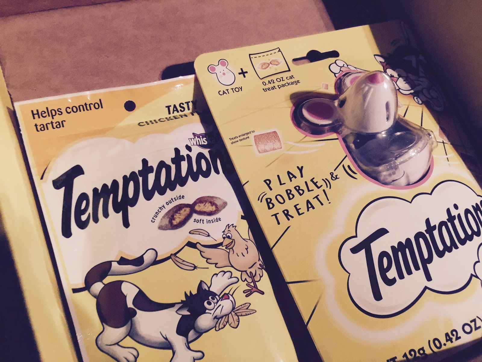 Outside the Box: Temptations Snacky Mouse Review