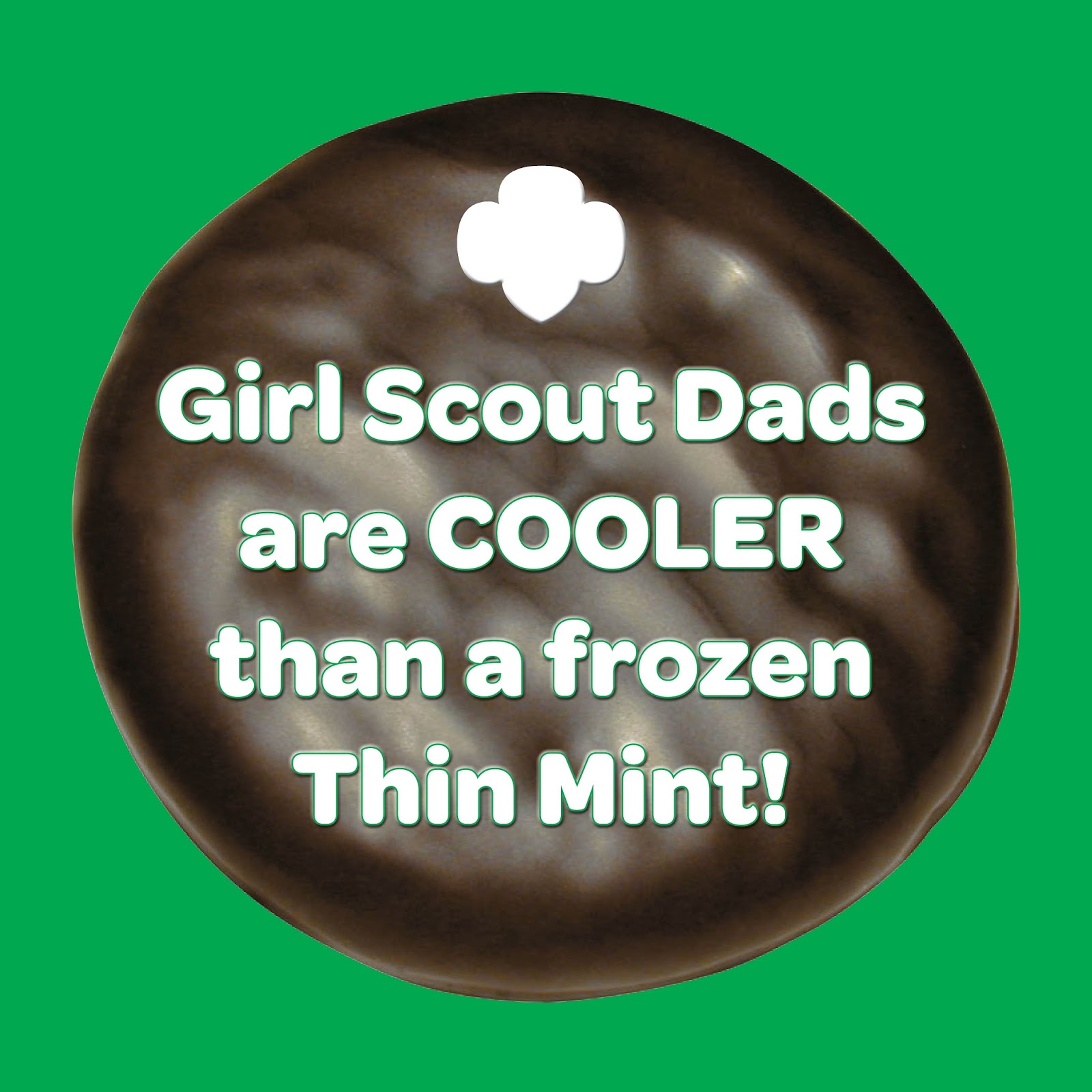 Girl Scouts of Southern Illinois: Girl Scout Guys Honored for Father's Day