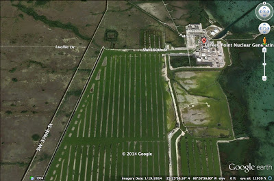 EYE ON MIAMI: FPL: Replace failed nuclear cooling canals in Homestead ...