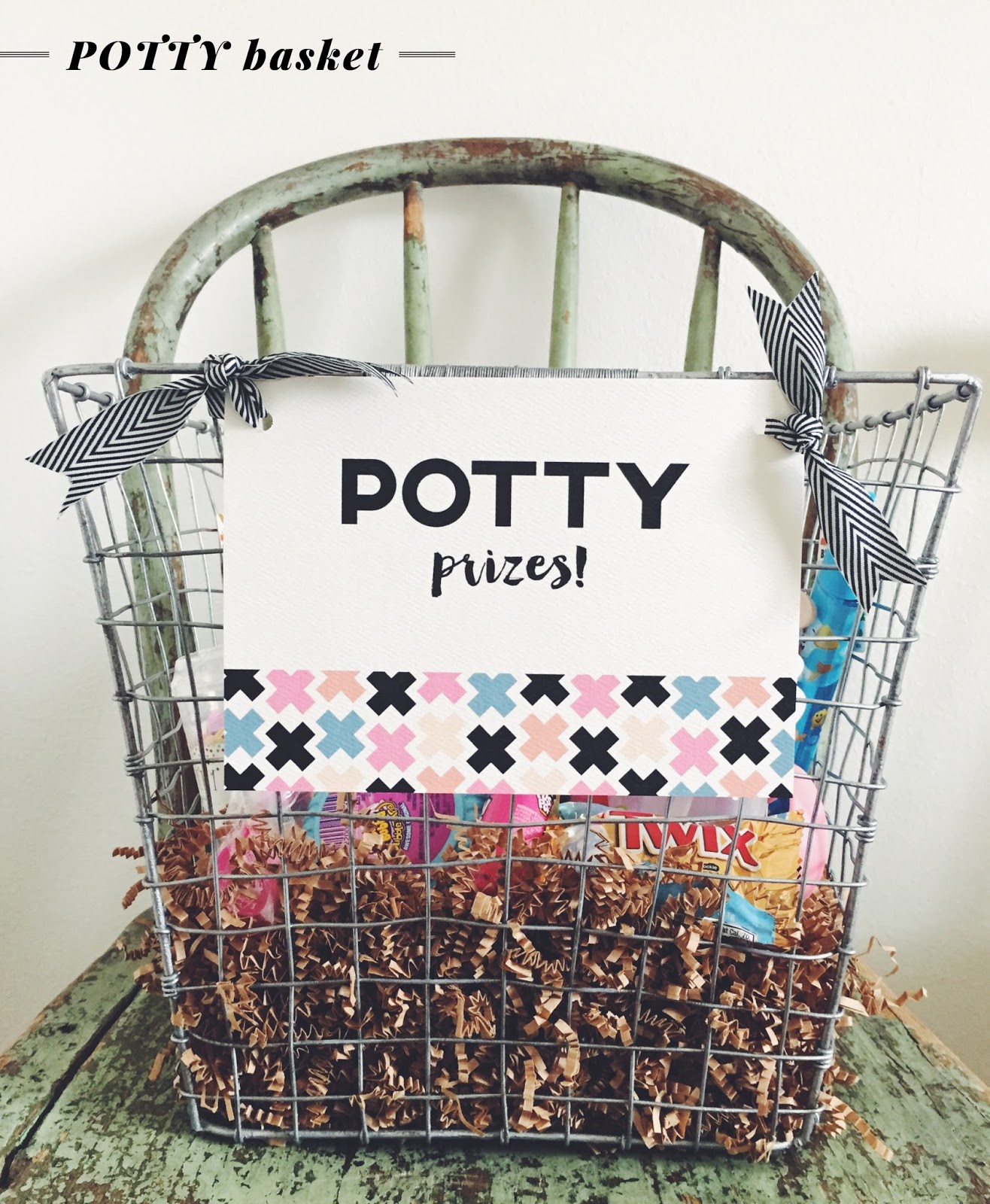 HEN & CO. : the POTTY BASKET!