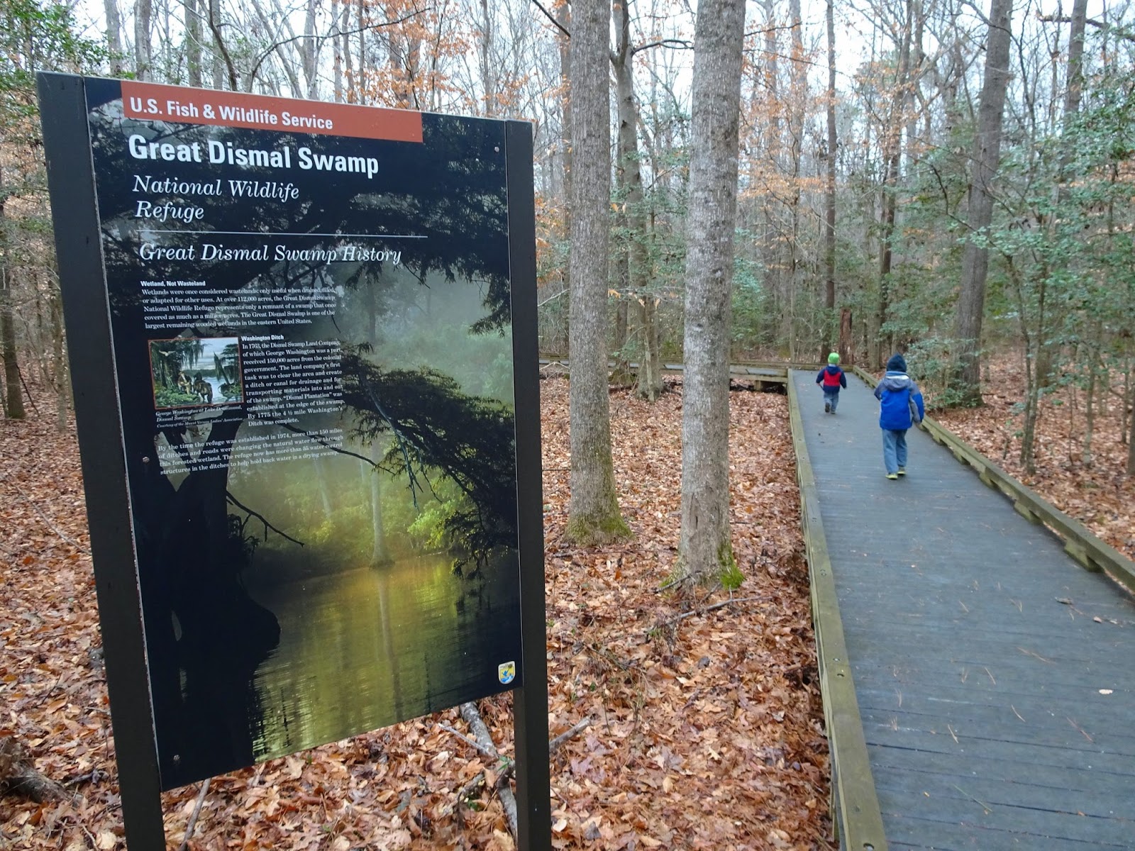 Great Dismal Swamp Trails