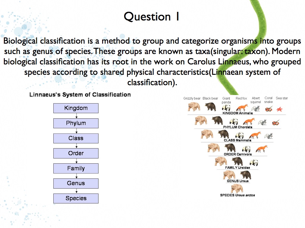 2012 S2-03 Science Blog