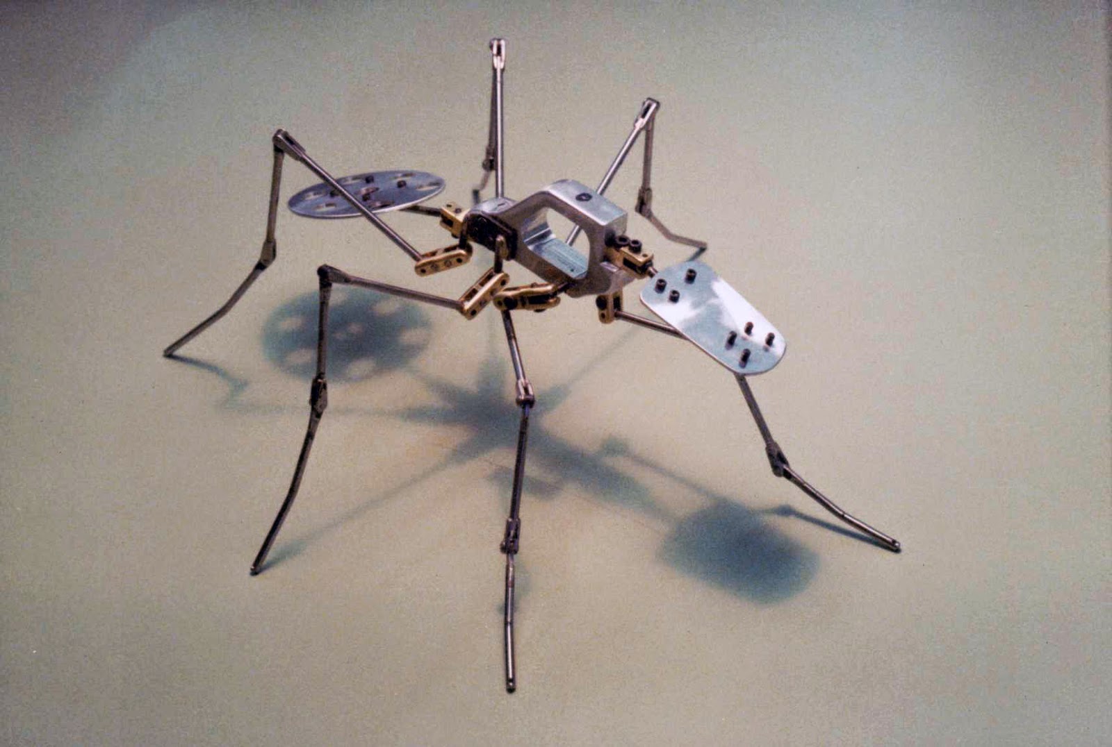 Yancy Calzada Animation & Design: Stop-Motion