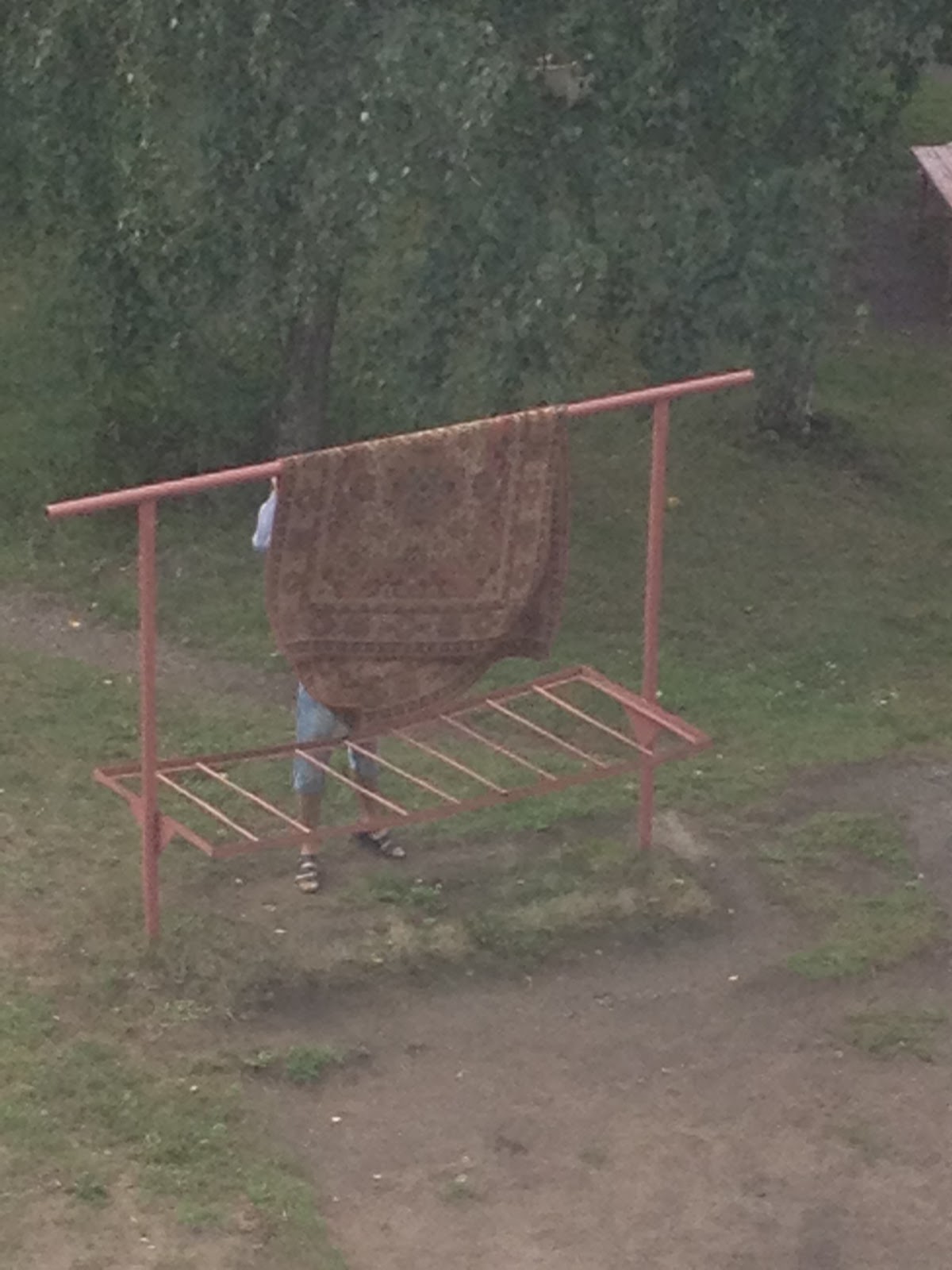 At Least One Picture A Day: August 21 2012 Rug Beating