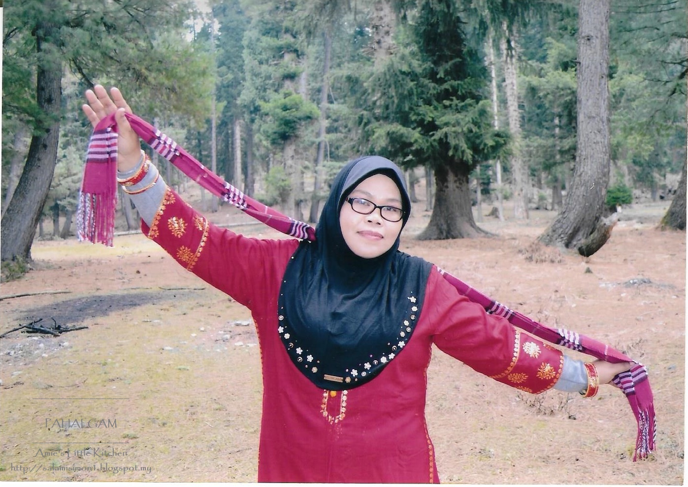 Pahalgam - Hotel Pine Spring - Menunggang Kuda di Kaki Gunung - Amie's ...