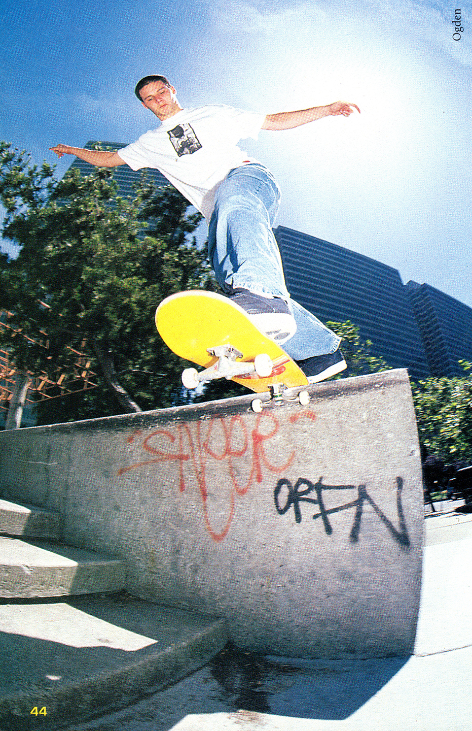 the chrome ball incident: chrome ball interview #120: kelly bird