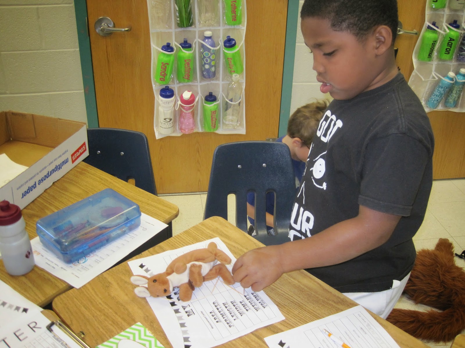 Flamingo Fabulous: Measurement Fair!