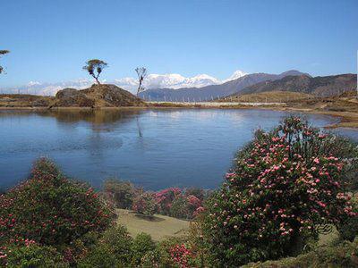 Association for the Upliftment of Kirat Limbu Language and Culture