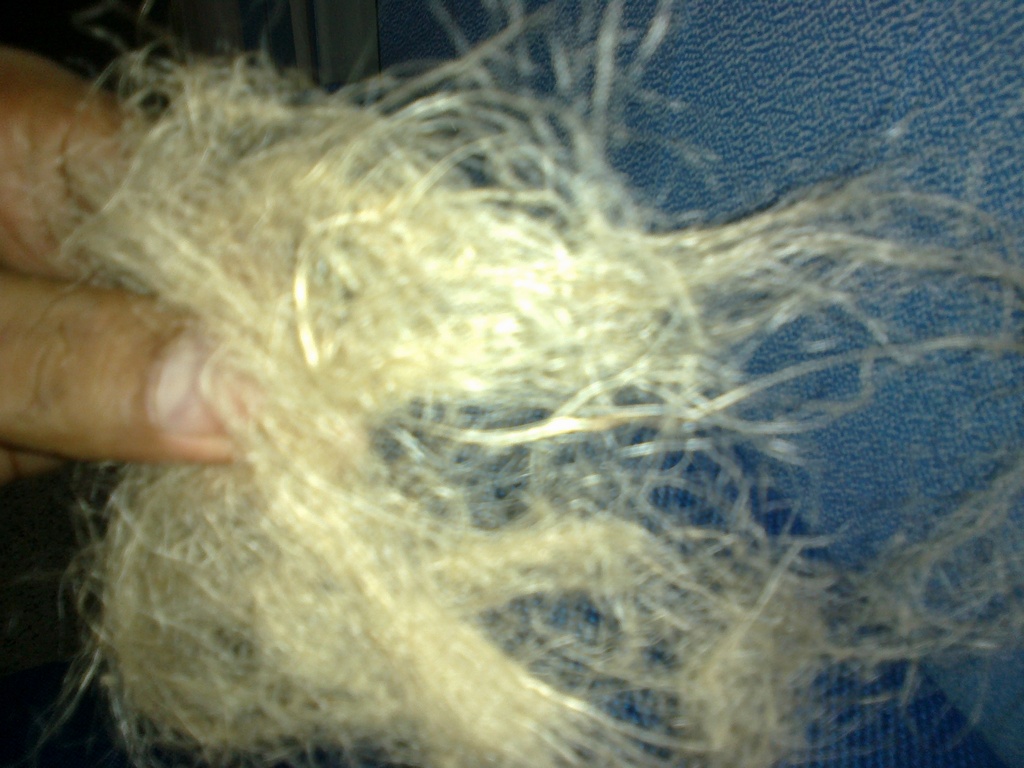 JUTE CADDIES/WASTE FOR INDIAN AND CHAINA MARKET ~ JUTEXS World