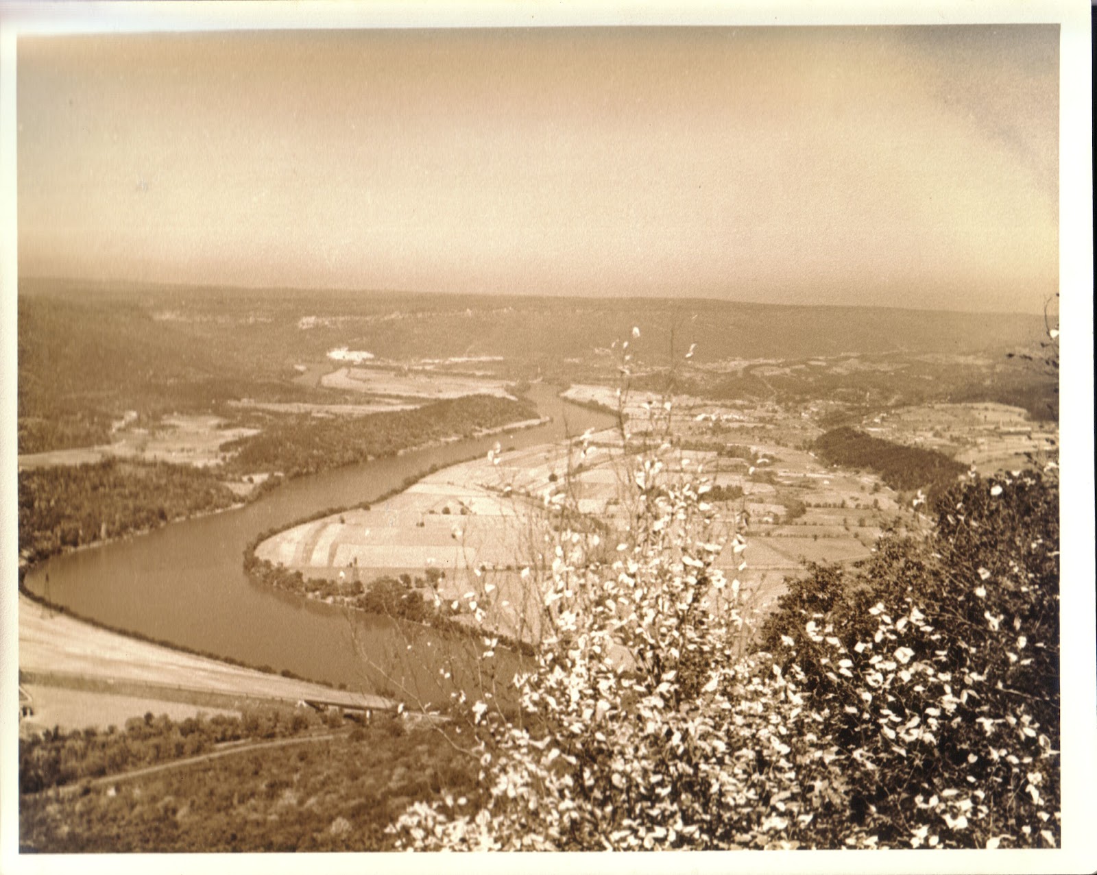 Pine Lake: The Blog: Claude Suttle's Photos of Lookout Mountain