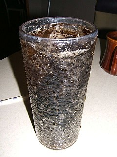 Review the World: Red Squirrel (Colerain, OH)