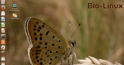 Bio-Linux 8 (Distro Voltado a Bioinformática)