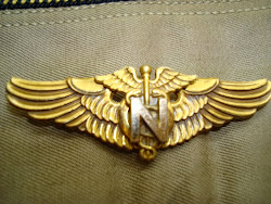 National Write Your Congressman: Popular Vote + Electoral College