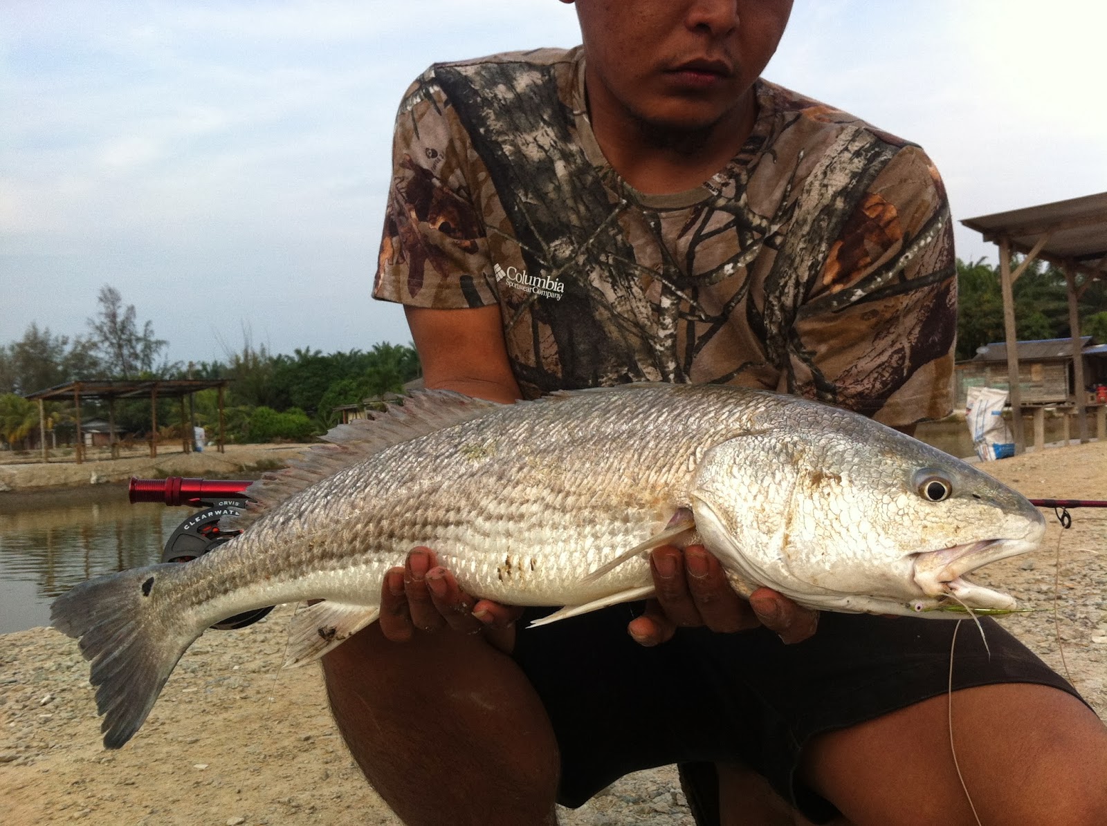 FLY TYING MANIA : SENANGIN TAIWAN aka RED DRUM