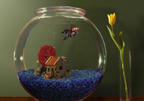 Chorribobadas: Peces de pecera