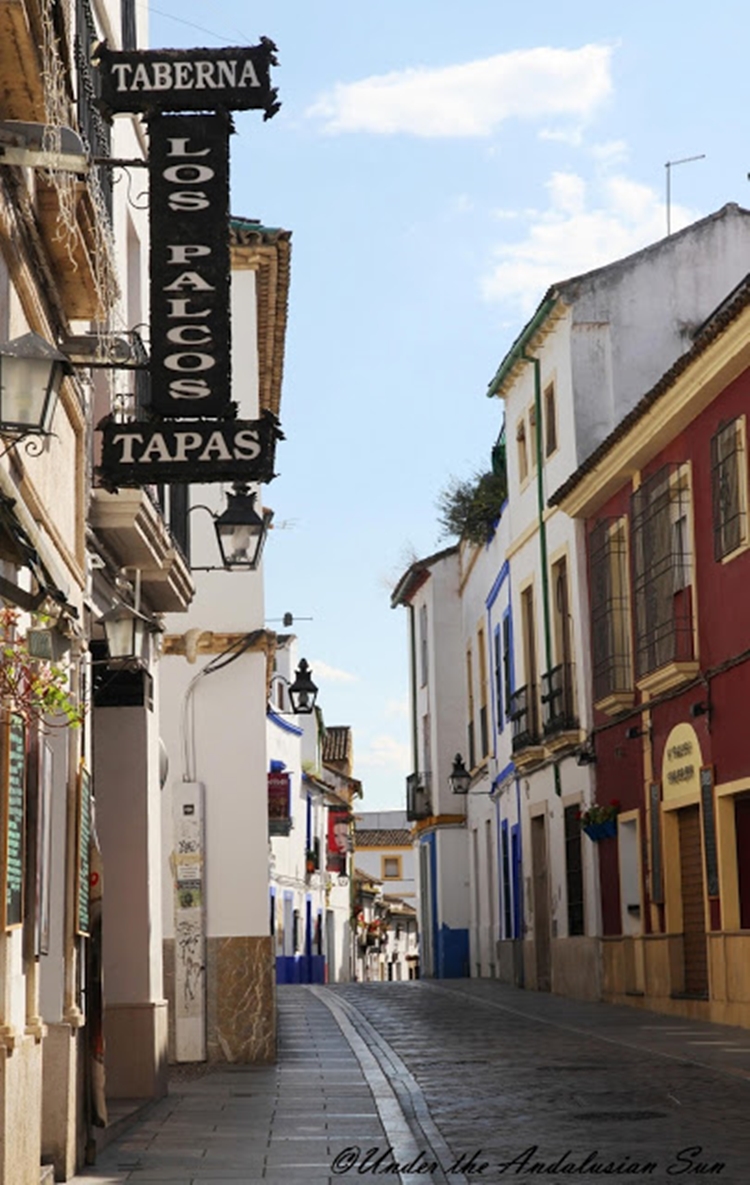 Under the Andalusian Sun : Andalusian sun and sherry country calling!