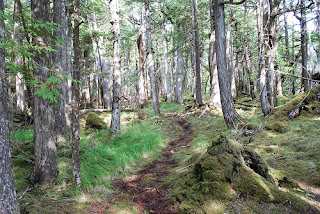 Haida Gwaii Tourism: The East Beach Trail – Remote Wilderness Hiking on ...