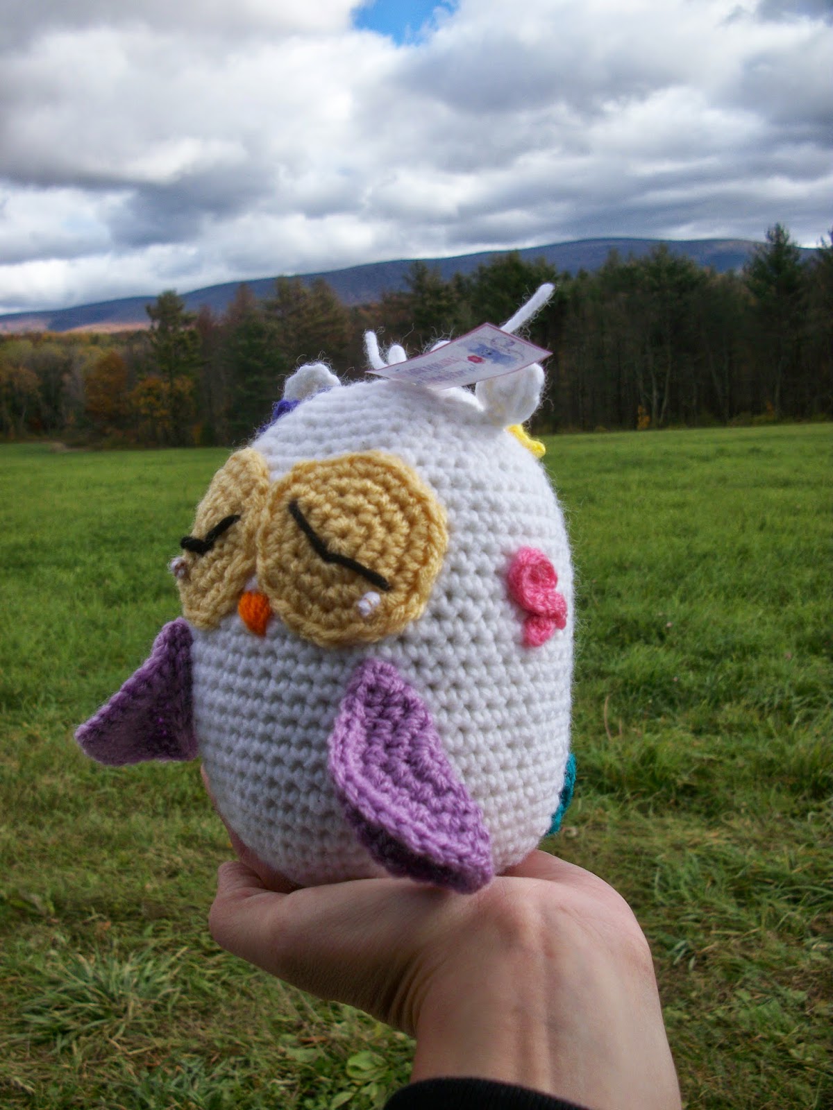 SweeTidbitz: ~ HOOT ~ The owl for a cure