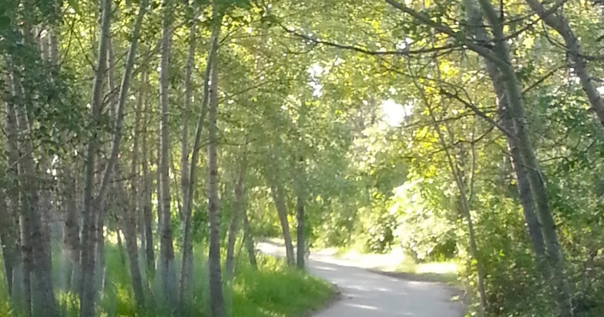 Walking Calgary: Baker Park