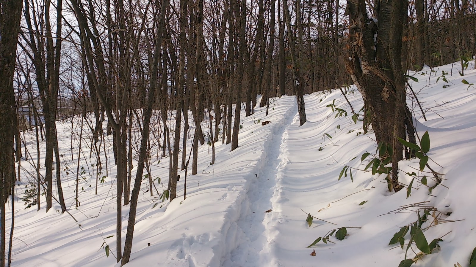 talk-hokkaido: The first day of 2014 in Kitami City
