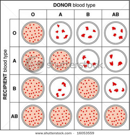 Cross-matching Blood - Imad Analis Blog