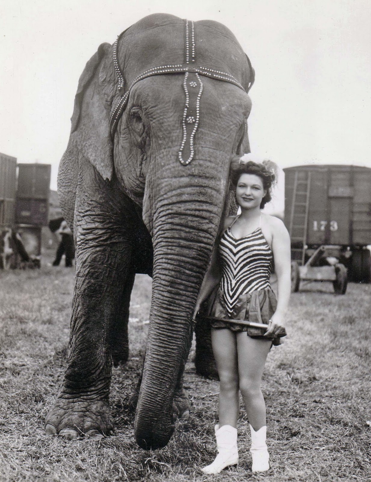 Buckles Blog: #2 Circus Ladies