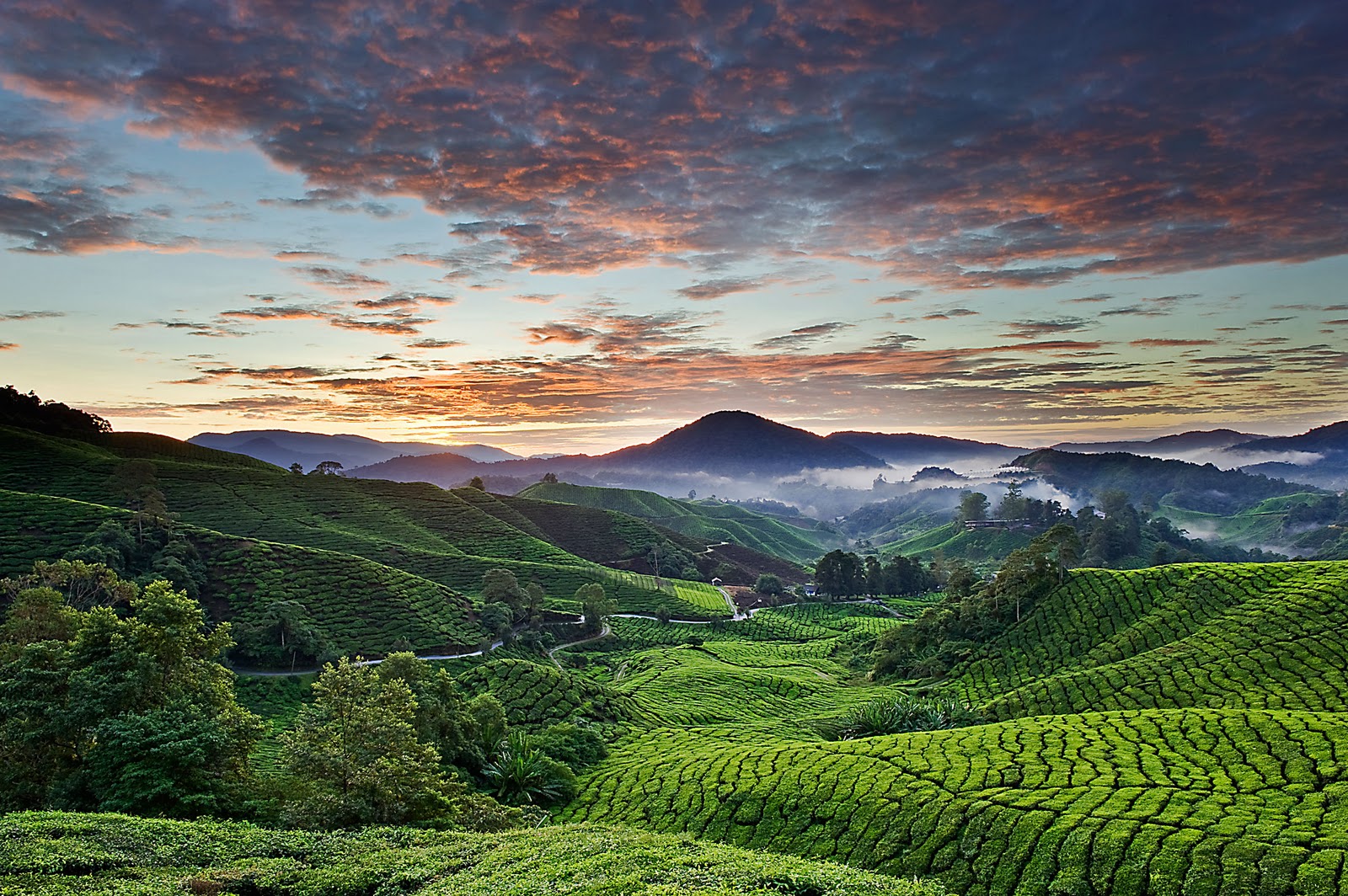 BaRos Travel & Tour Agency: Packages