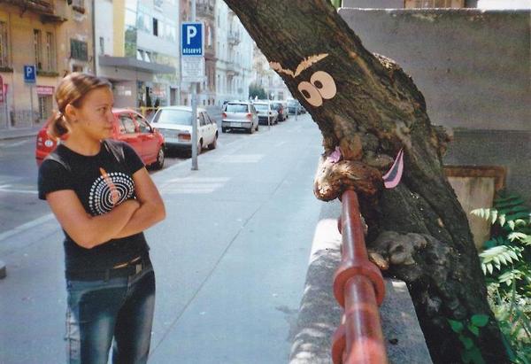 Comedy Plus: funny tree photo to.