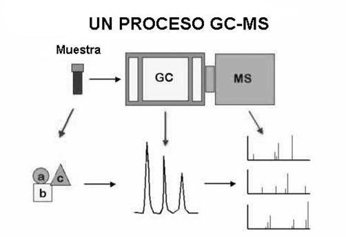Técnicas de Identificación de Muestras.