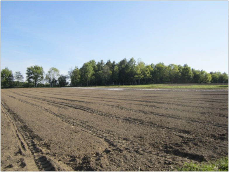 Growing Ideas with Johnny's Selected Seeds: What's New at the Farm ...