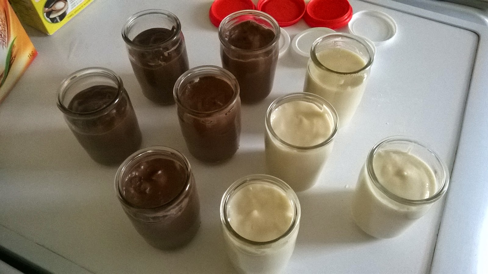 Chez nous, c'est végane !: Crèmes dessert choco-noisette et vanille