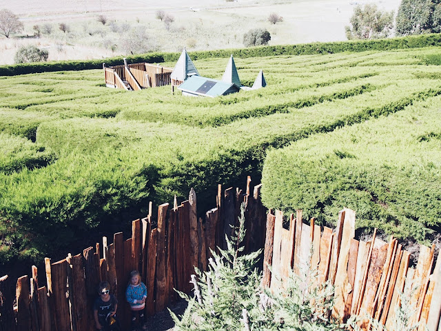 Barrabool Maze Estate Ceres Review | Yellow Dandy