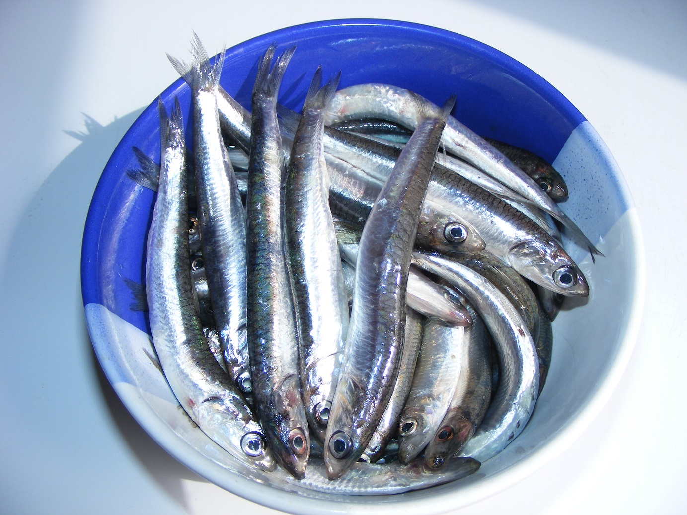 Saramura de hamsii | Retete Culinare Preparatedevis.ro