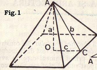 proiecte: proiect matematica in arta