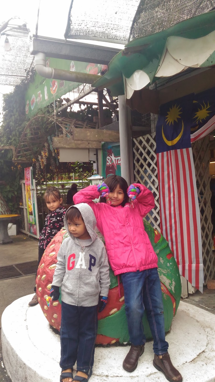 Laman Inspirasi Muslimah: Homestay: rose chalet,kg. Taman sedia, tanah ...