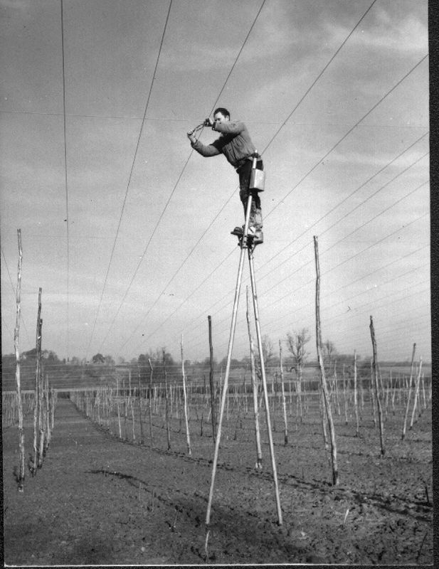 23 Funny Vintage Photos Show That Walking With Stilts May Be One of the ...