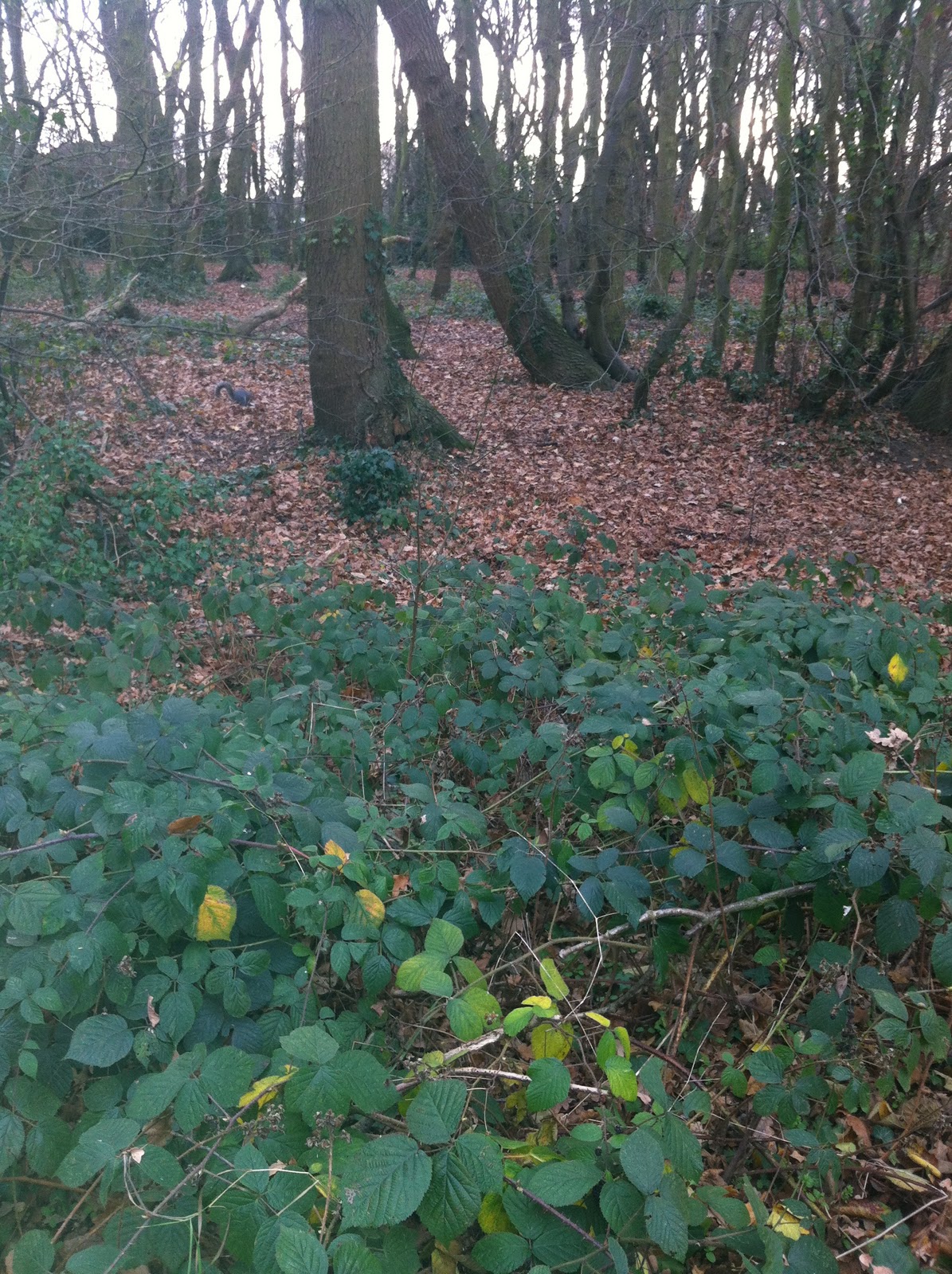 A Place for everything: A walk through Thundersley Village