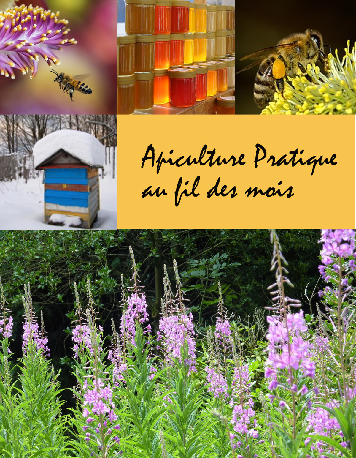 Quelles sont les qualités d'un bon apiculteur? - un rucher au jardin