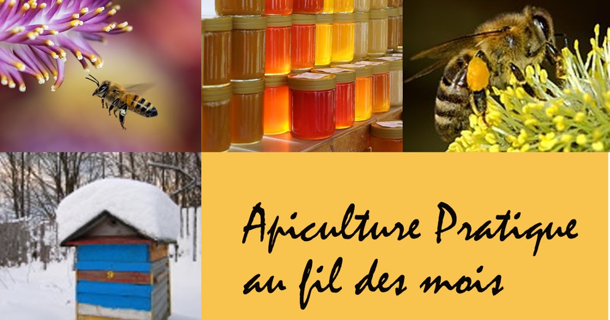 L'Apiculture Pratique au fil des Mois - un rucher au jardin
