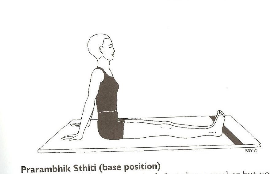 seek apropos: Essential Yoga Asanas